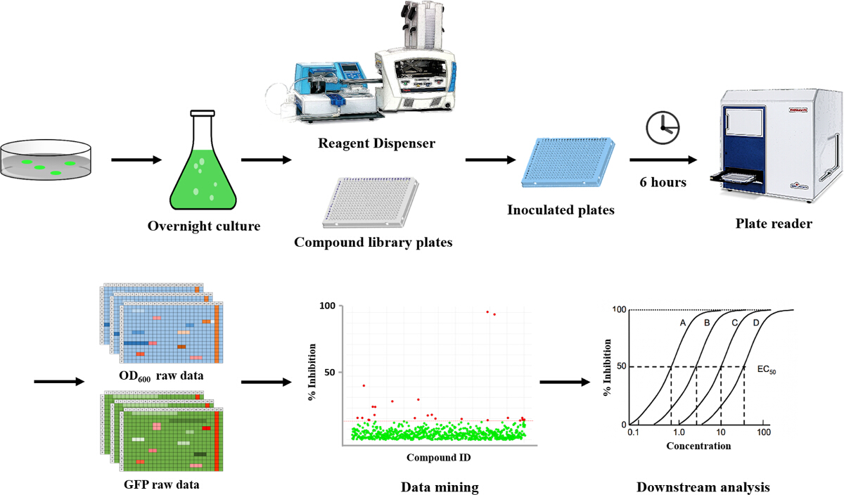 Video Establishment Of A High throughput Setup For Screening Small Video Establishment Of A High throughput Setup For Screening Small