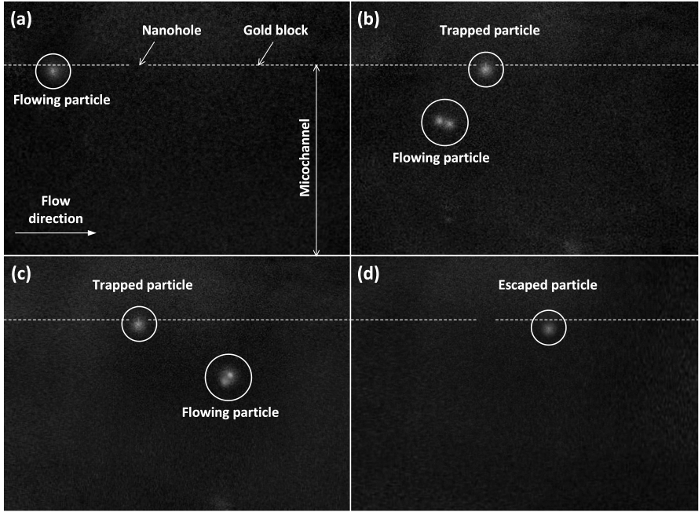 Plasmonic Trapping and Release of Nanoparticles in a Monitoring Environment
