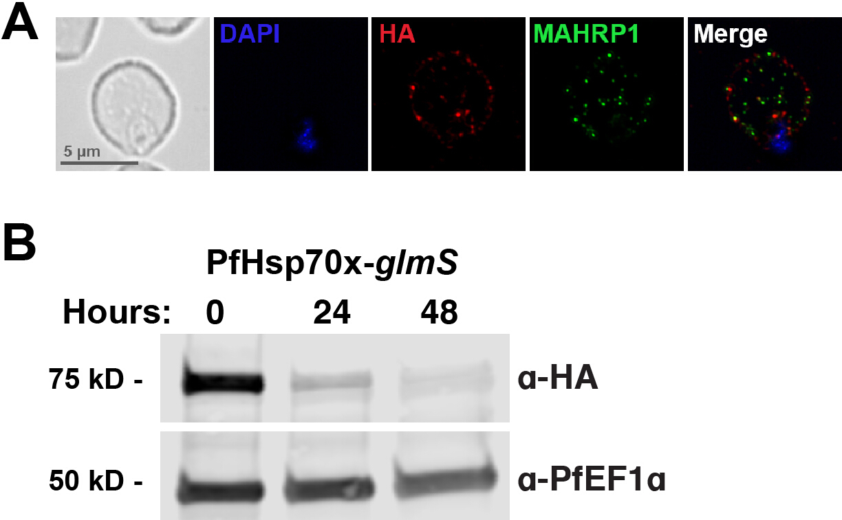 CRISPR/Cas9 Gene Editing to Make Conditional Mutants of Human Malaria ...