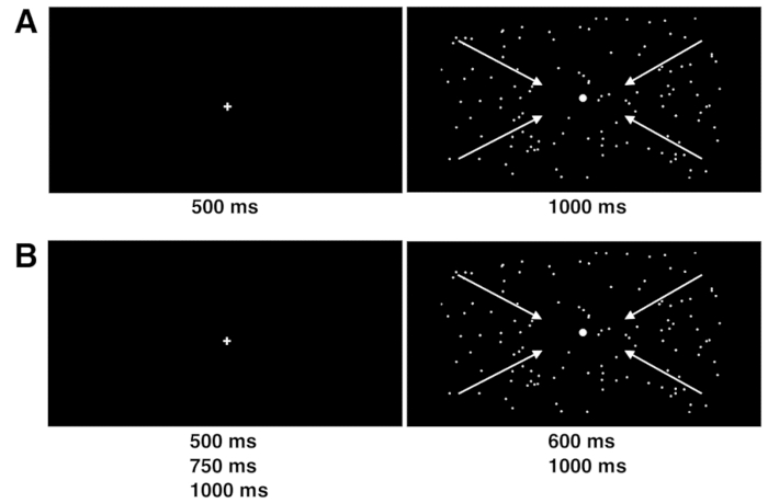 Stimulus-specific Cortical Visual Evoked Potential Morphological Patterns