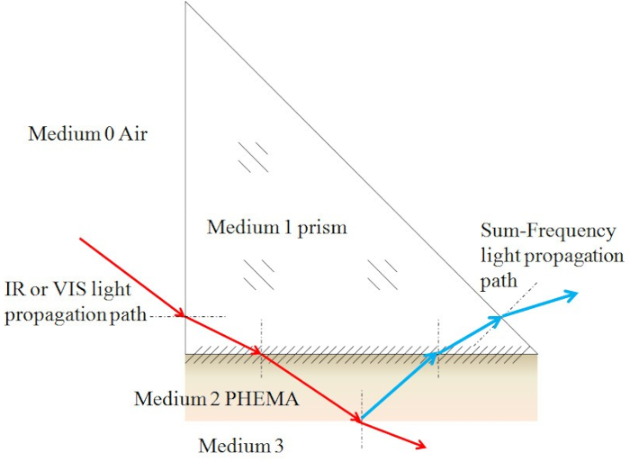 Interfacial Molecular-level Structures of Polymers and ...