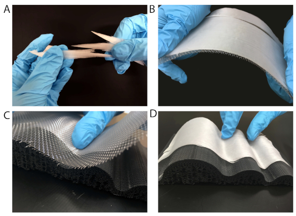 Video: Fabrication and Design of Wood-Based High-Performance Composites