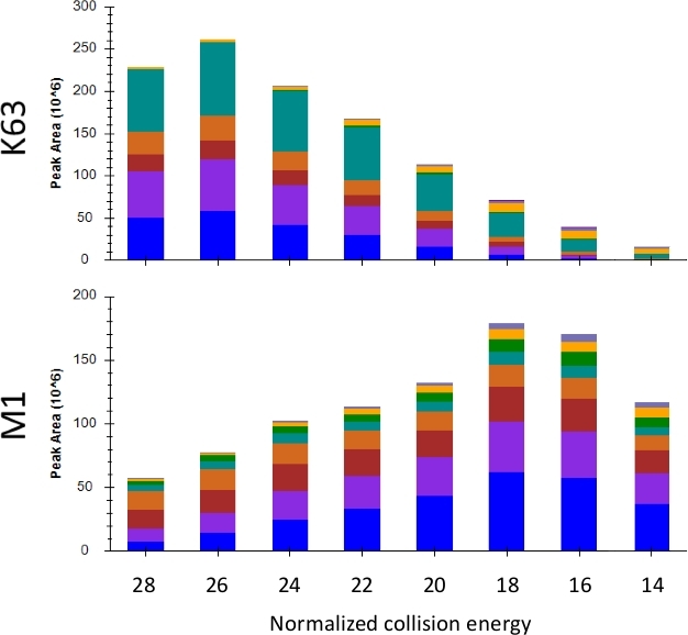 Ubiquitin Chain Analysis by Parallel Reaction Monitoring