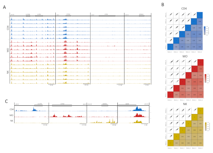 A Semiautomated ChIP-Seq Procedure for Large-scale Epigenetic Studies