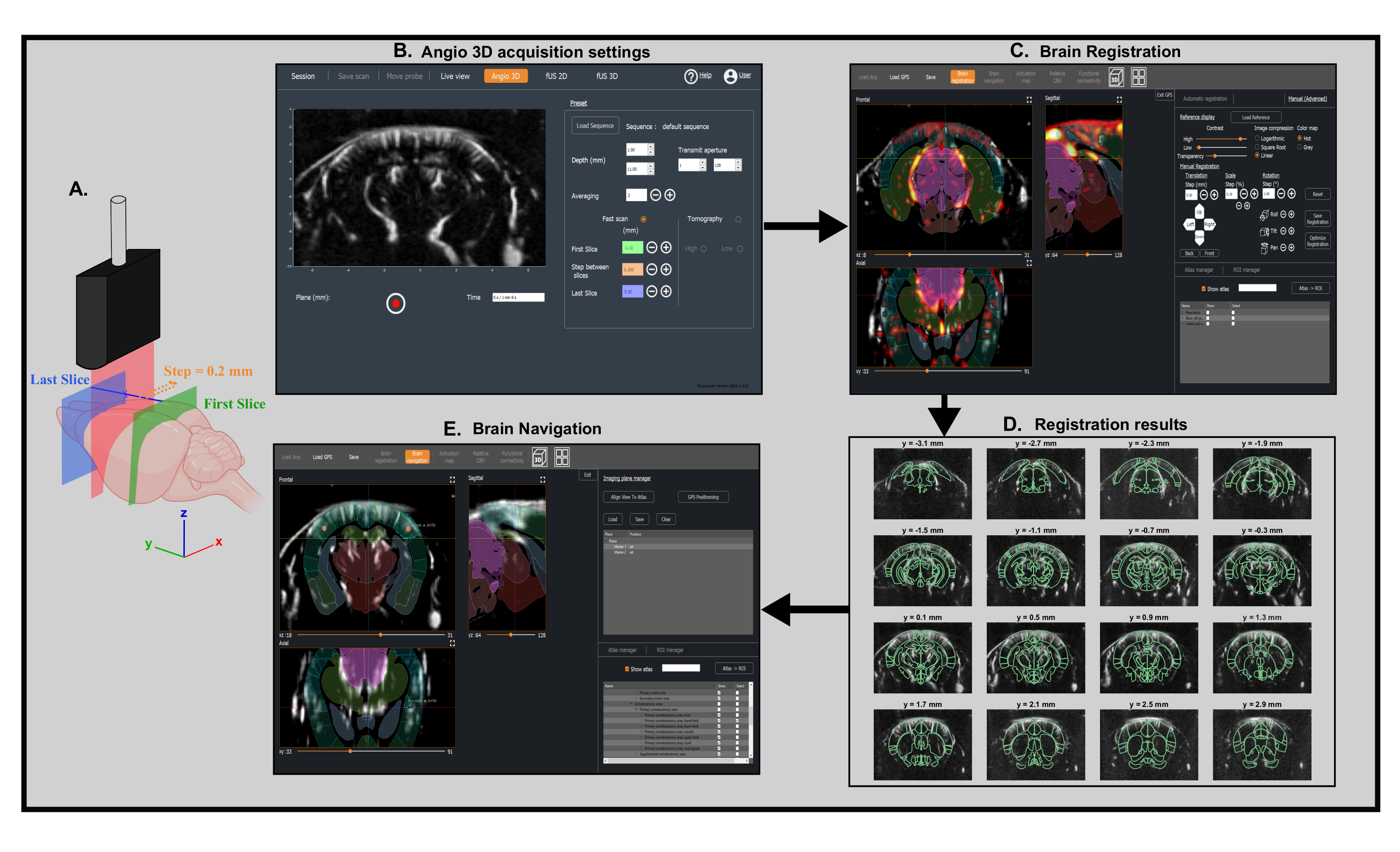 Whole Brain 3D Activation And Functional Connectivity Mapping In Mice Whole Brain 3D Activation And Functional Connectivity Mapping In Mice
