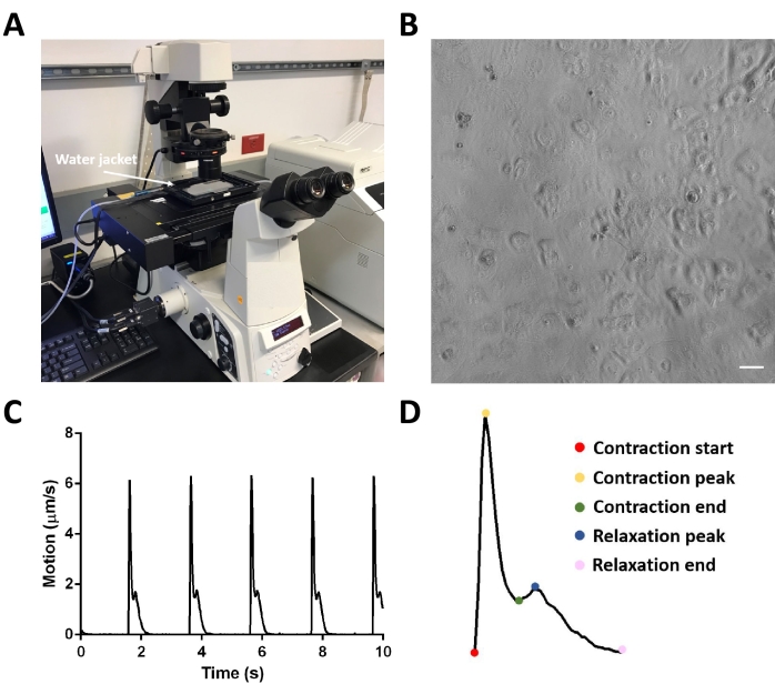 Technical Applications of Microelectrode Array and Patch Clamp ...