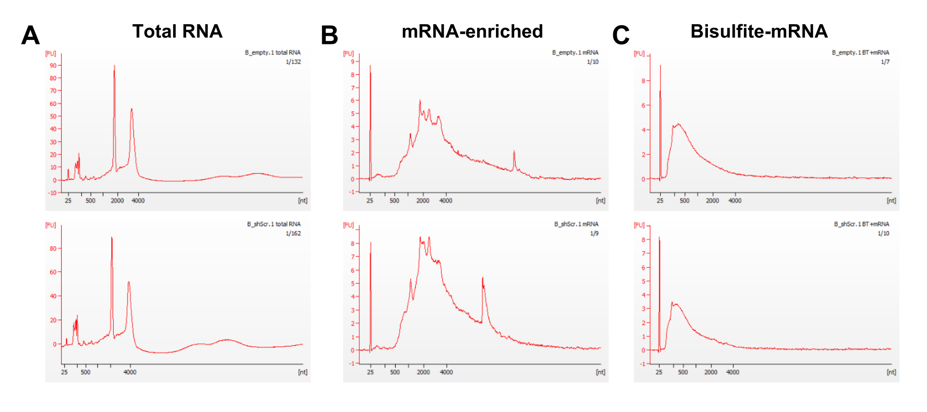 Video: Author Spotlight: Decoding RNA Methylation's Role in Pancreatic ...