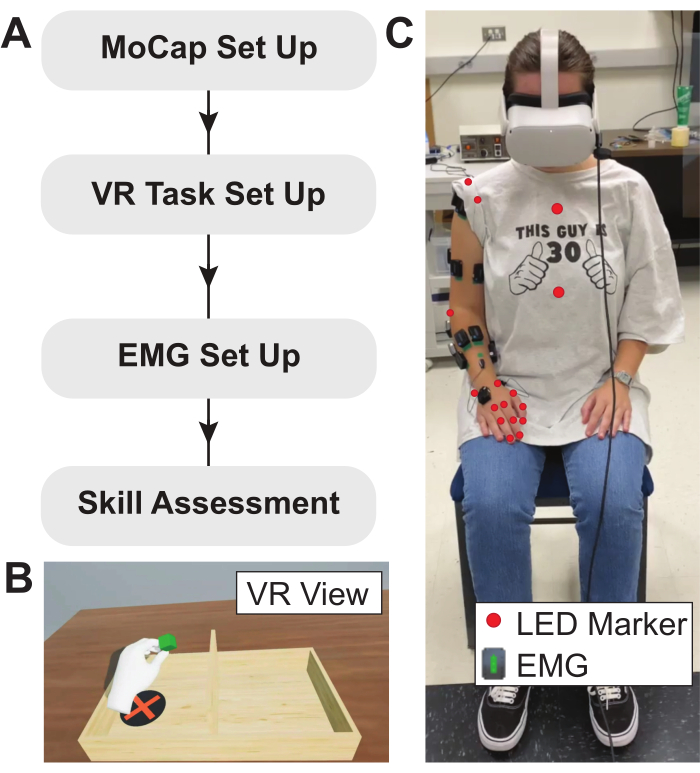 Setup for the Quantitative Assessment of Motion and Muscle Activity ...