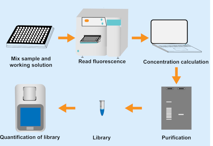 Video: A Workflow for the Quantitative Assessment of the Endophytic and ...