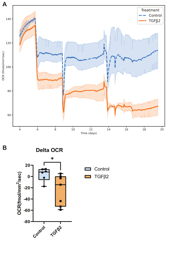 Long-term Monitoring of Oxygen Consumption Rates in Highly ...