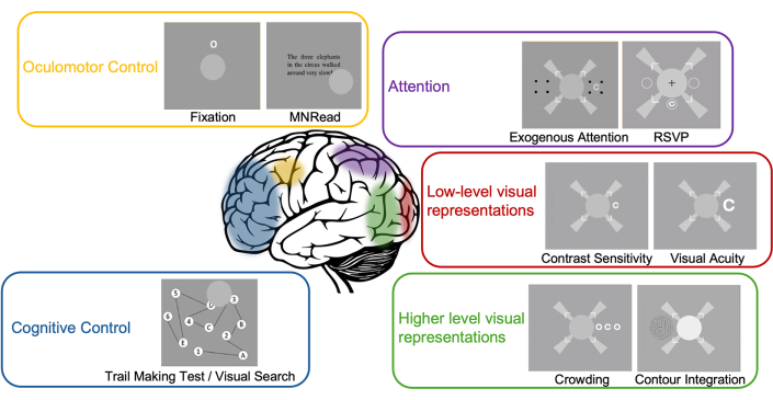 A Gaze-Contingent Display Framework for Perceptual Learning Research ...