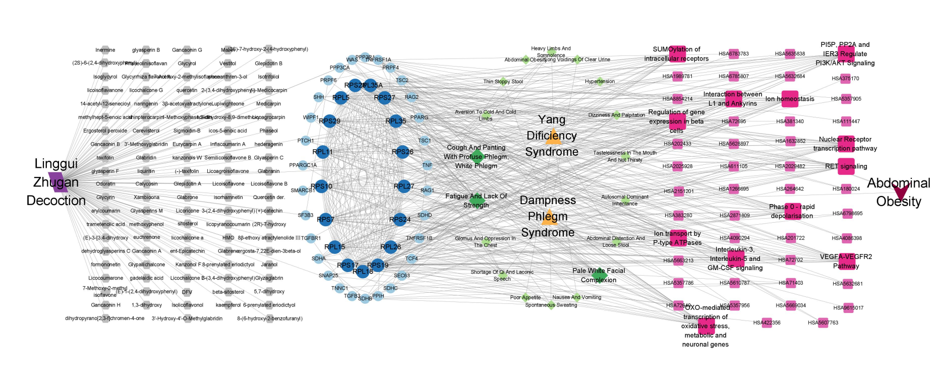Video: Network Pharmacological Analysis of TCM Formulae Based on the ...