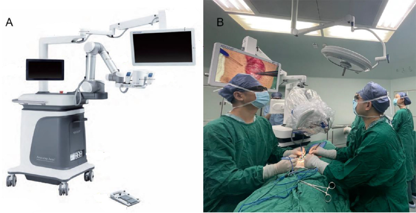 Preliminary Experience with a 3D Digital Fluorescence Microscope and ...