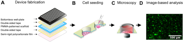 Reproducible Manufacturing of SPOT as a High-throughput Scaffold-based ...