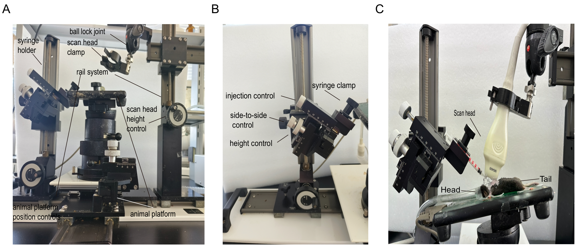 Precision Ultrasound-guided Stem Cell Delivery for Vascular Repair in ...