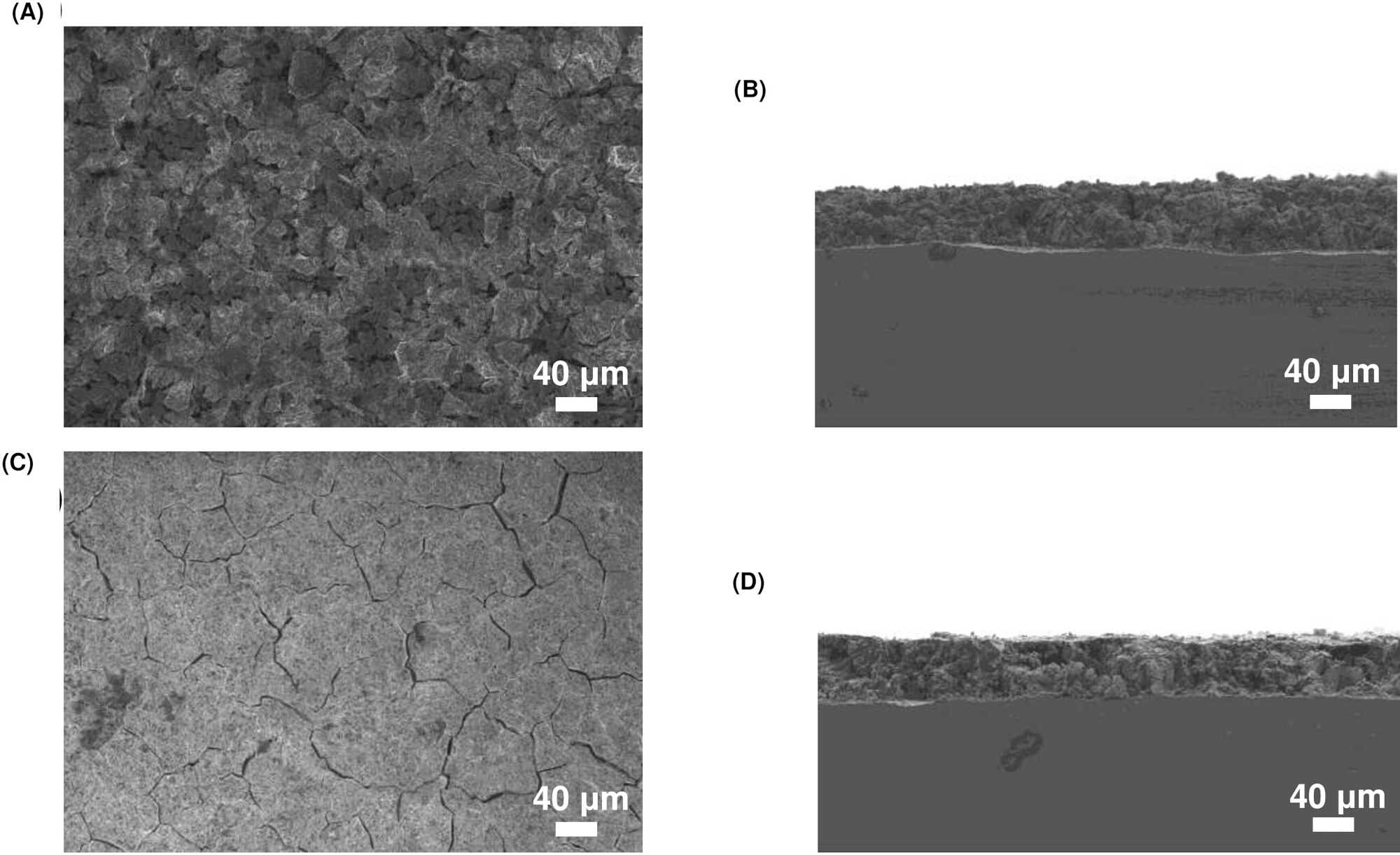 Fabrication and Optimization of Type II Silicon Clathrate Films