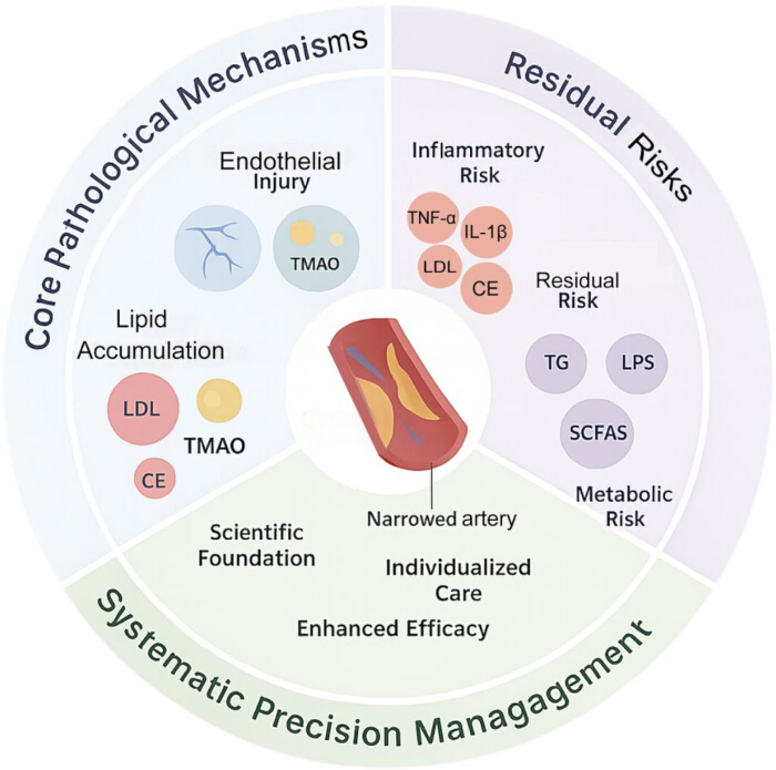 Precision Management of Dyslipidemia in Atherosclerosis: Mechanisms ...