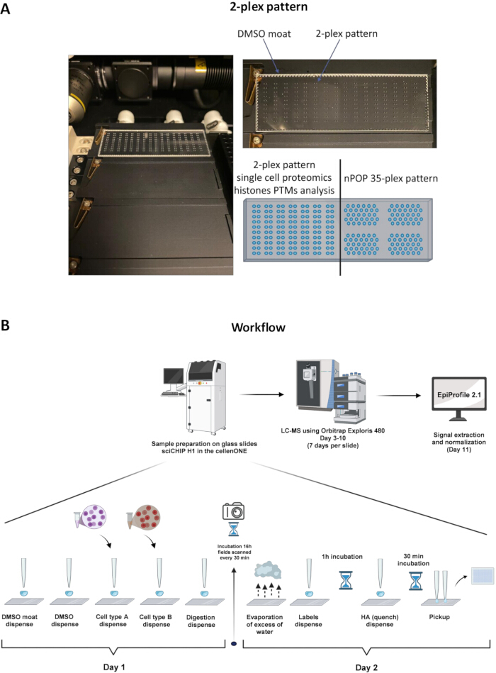 Automated Sample Preparation for the Multiplexed Analysis of Single ...