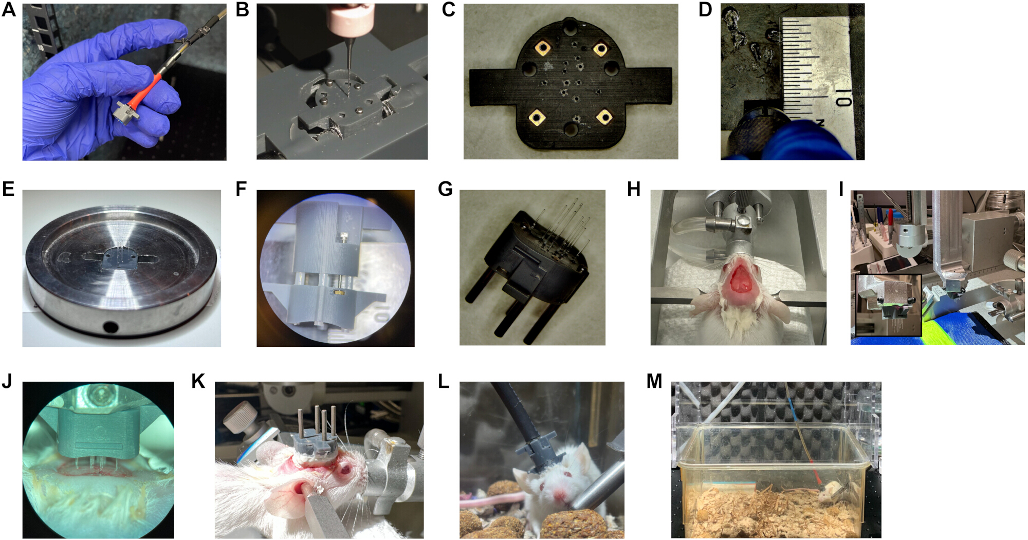 Two-color Multifiber Photometry Recordings of the Social Behavior ...
