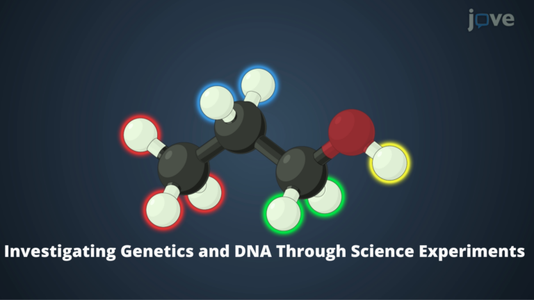 Genetics and DNA Science Experiments Guide | JoVE K12