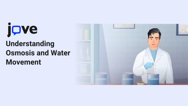 Osmosis and Water Movement Experiment Guide | JoVE K12