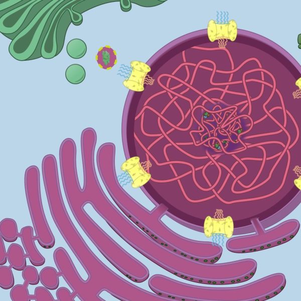 Joves Online Courses List Biology To Engineering Educators